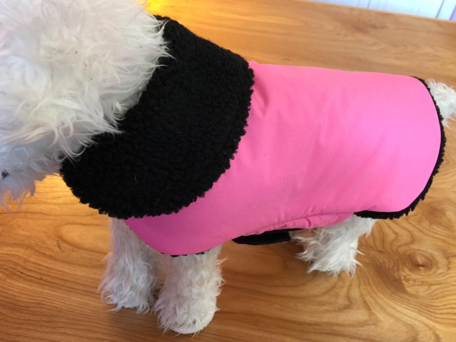 Pink Waterproof, Insulated, Breathable, Pink, Sherpa Lined Dog Winter ...