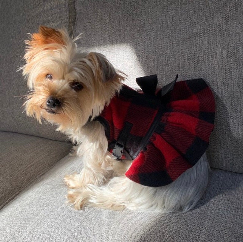 Buffalo Check Fleece Small Dog Ruffle Harness Dog Harnesses - Etsy