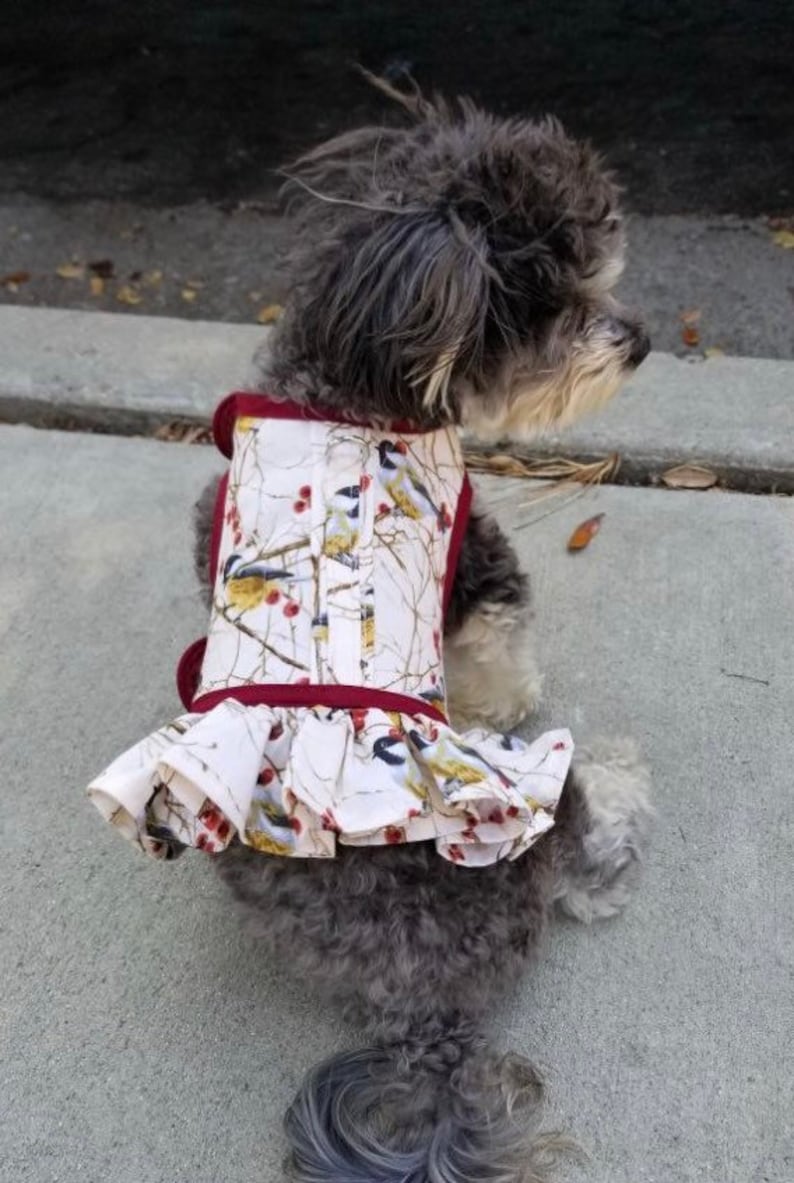 Chickadee berry print Ruffle Dog Harness Made in USA dog | Etsy