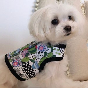 Cactus Small Dog Harness, Made in USA - Etsy