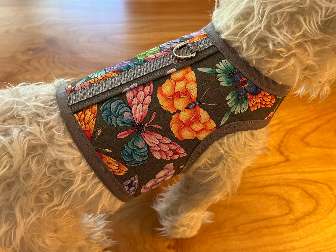 Butterfly Print Small Dog Harness, Made in USA, Dog Harnesses, Pet ...