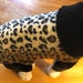 Large Dog, Leopard Pattern Fleece Dog Coat, Dog Jacket, Fleece Lined ...