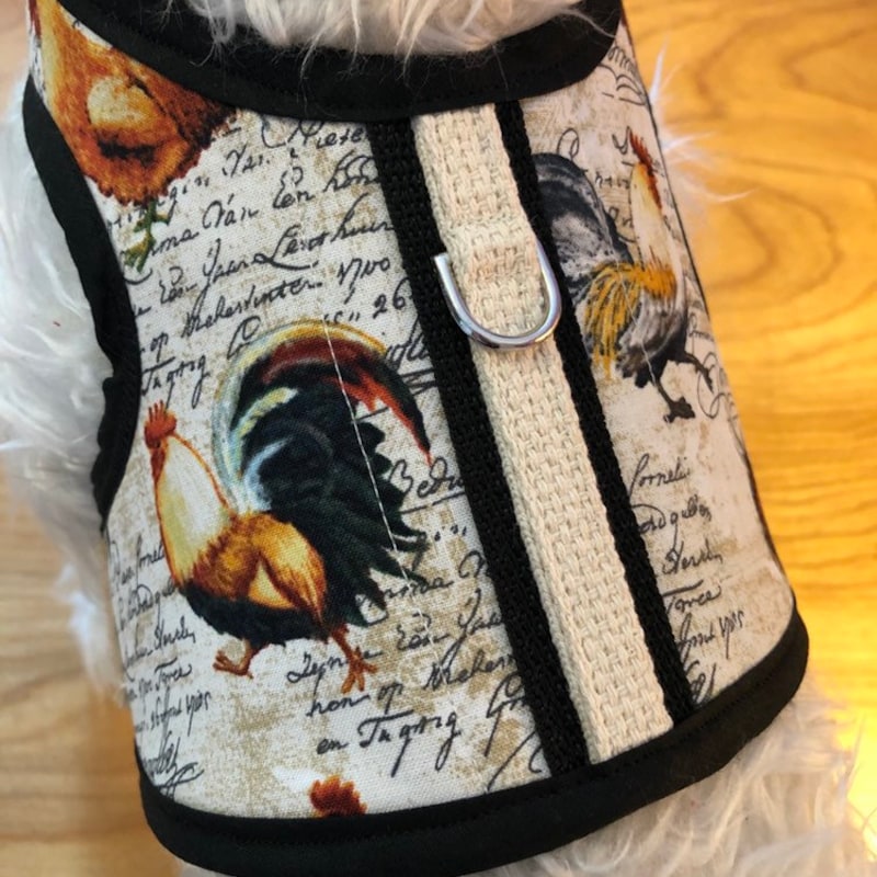 Chicken Harness - Etsy