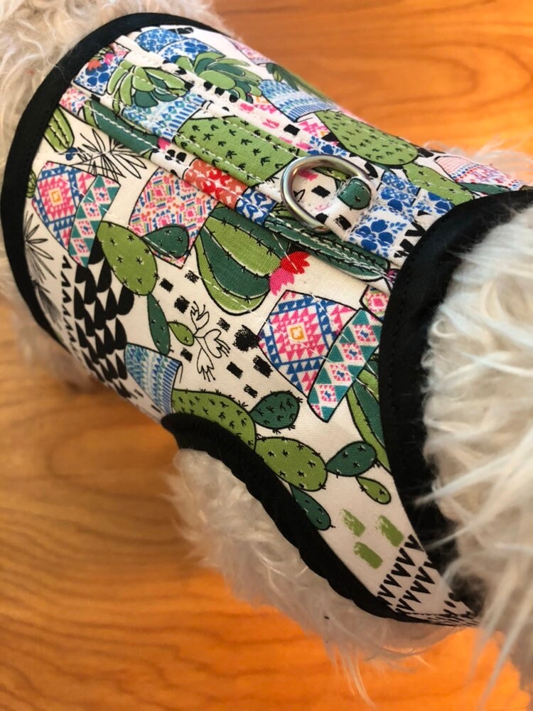 Cactus Small Dog Harness Made in USA | Etsy