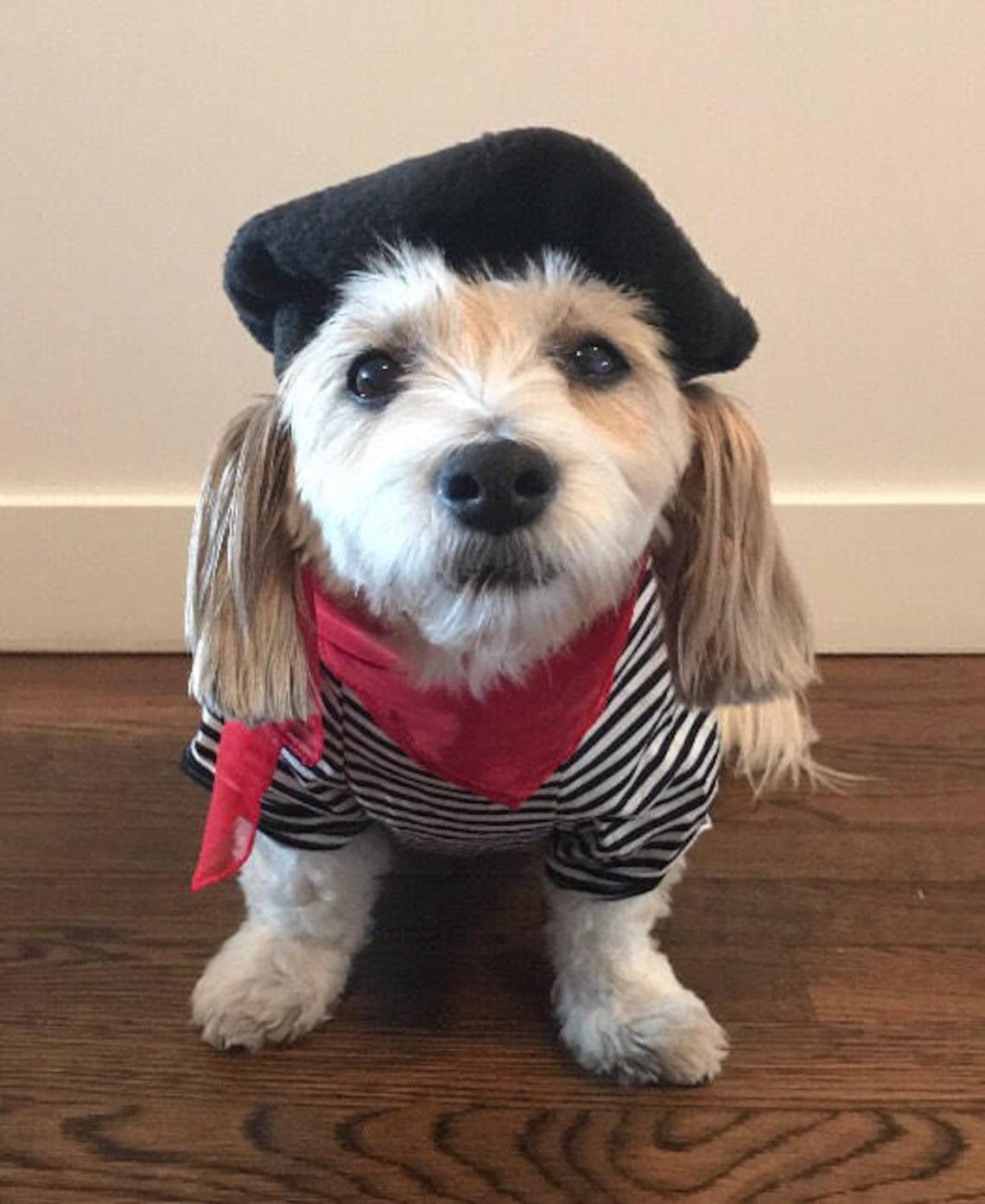 Dog Beret Only Any Color with contrast button and stitching | Etsy