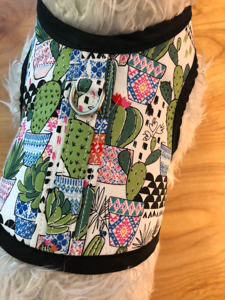 Cactus Small Dog Harness Made in USA | Etsy