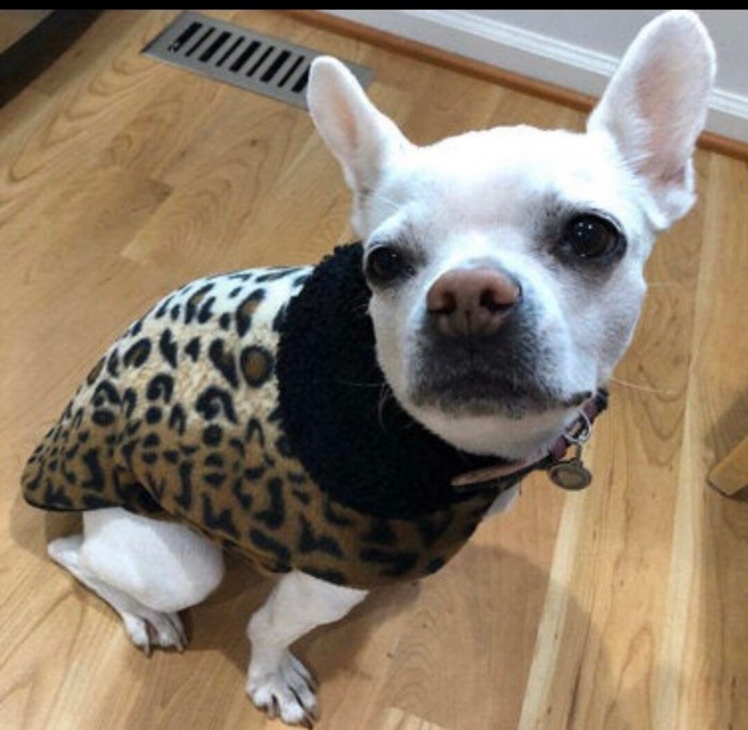 Leopard Pattern Fleece Dog Coat, Dog Jacket, Fleece Lined, Dog Jackets ...