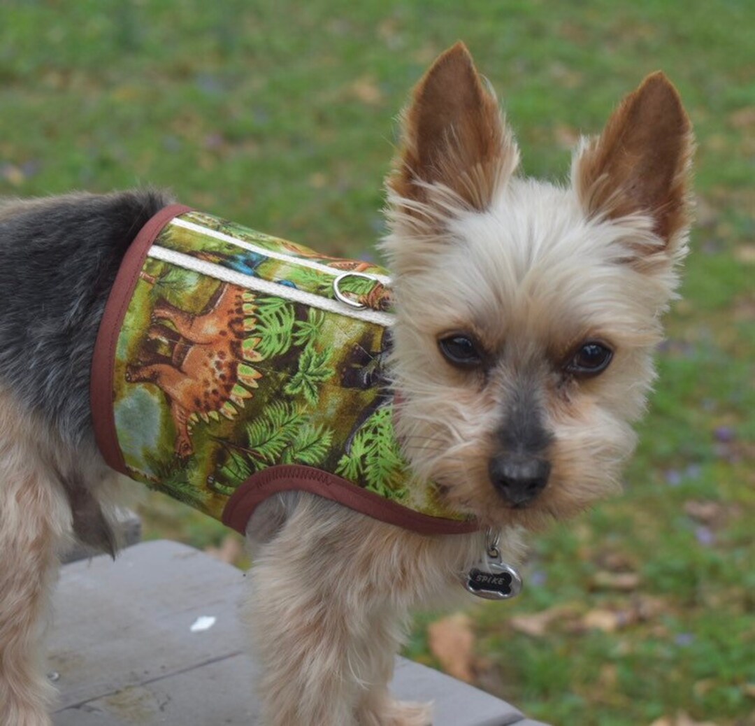 Dinosaur Small Dog Harness Made in USA, Dog Harnesses, Pet Clothing - Etsy