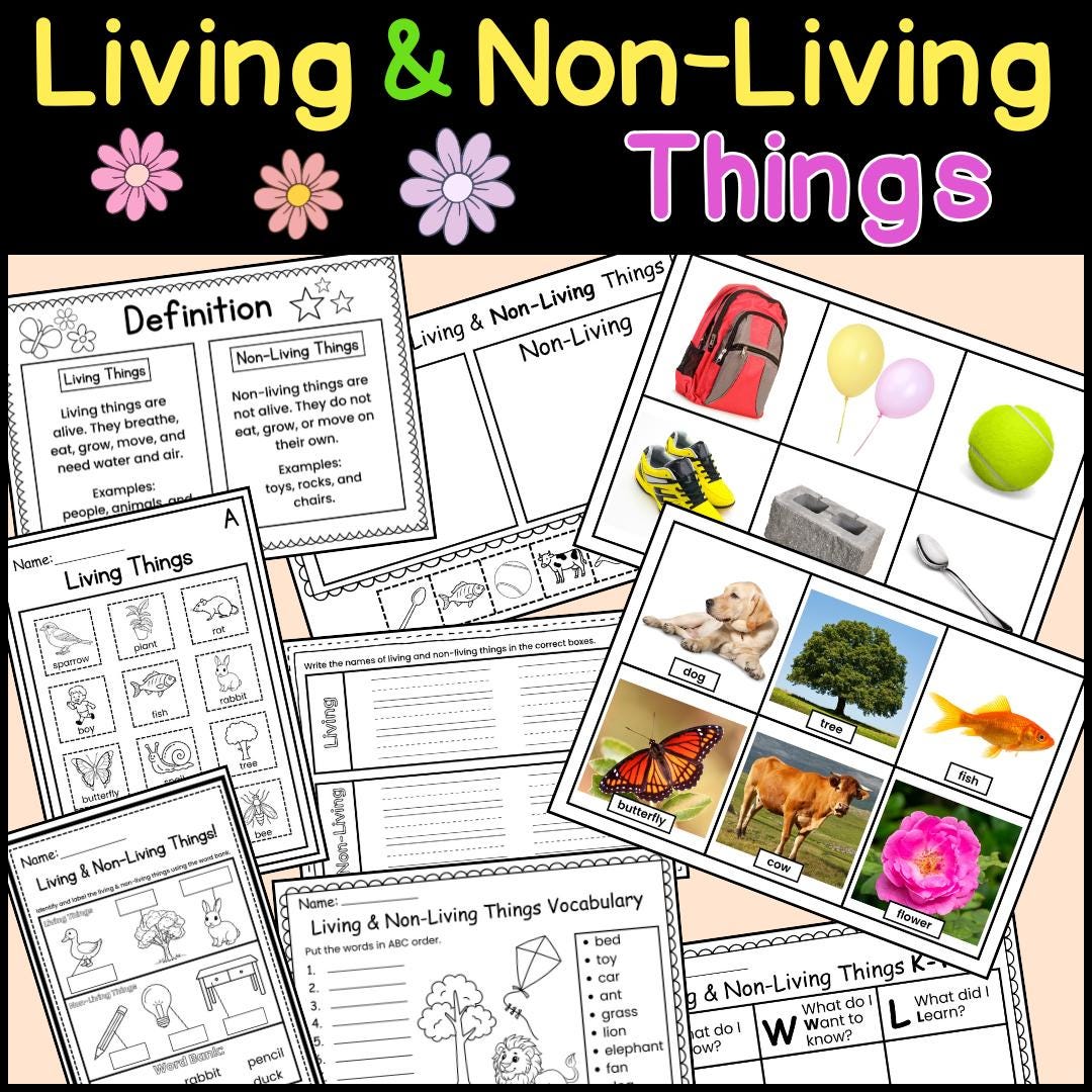 Living and Non-living Sorting Activity, Real Photo Science Center ...