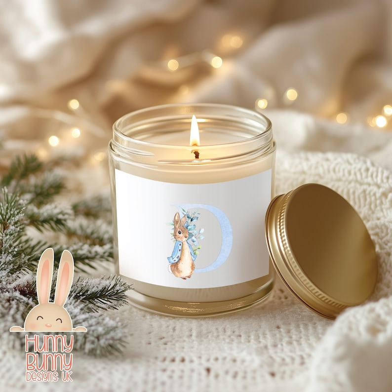 Blue Peter Rabbit Alphabet Clipart Individual Images Transparent PNG ...