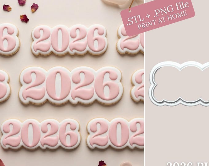 New Years Mini Cookies, Celebration Cookies, Firework Cookies - Etsy