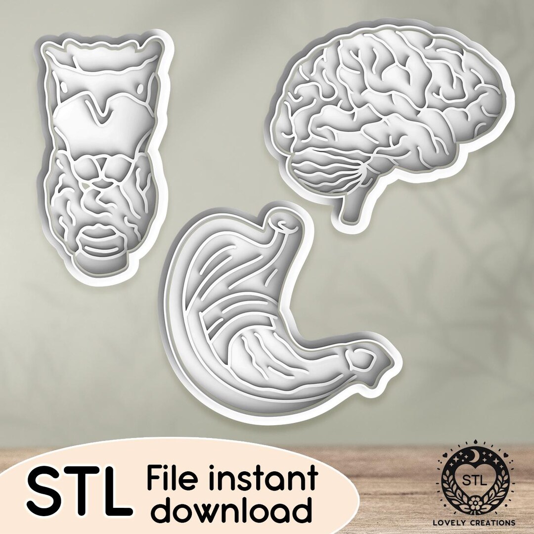 Anatomy Human Body Torso Organs Heart Brain Neck Stomach - STL File for ...