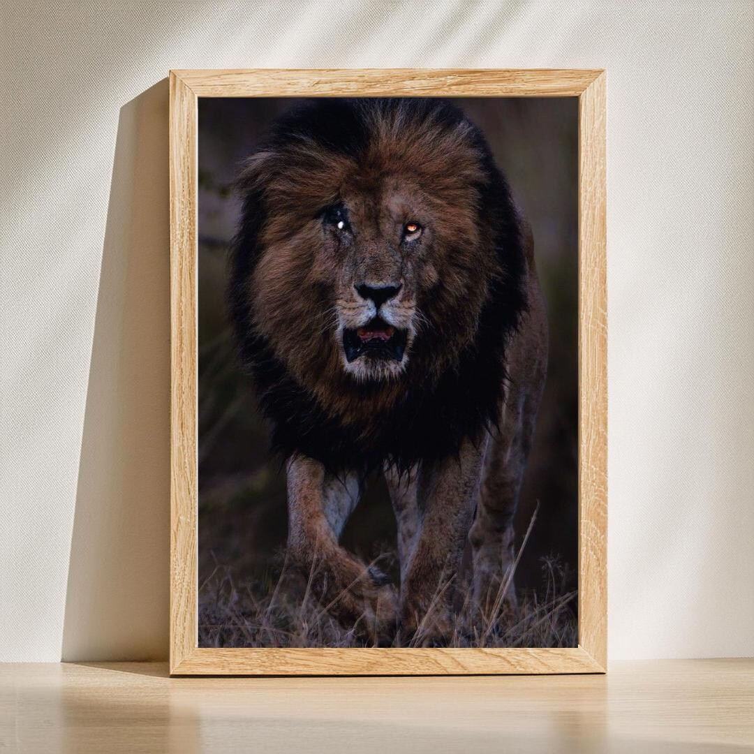 Scarface Lion Wall Art, King Scarface Lion Poster, Scarface Canvas ...