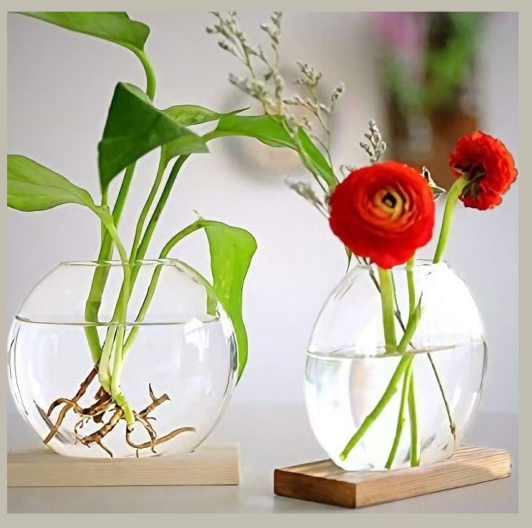 Round Glass Planter With Wooden Stand - Hydroponic Propagation Vase for ...