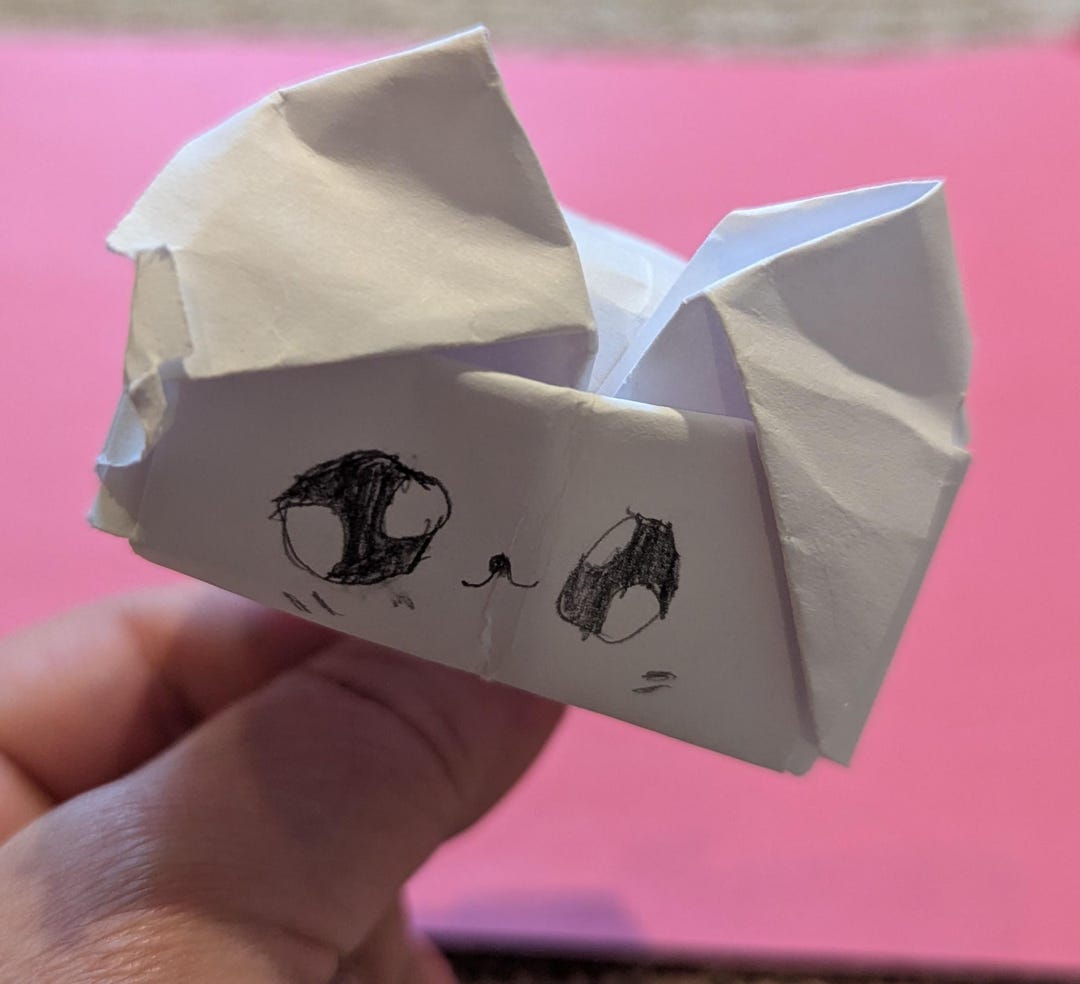 Cat Popper - Etsy