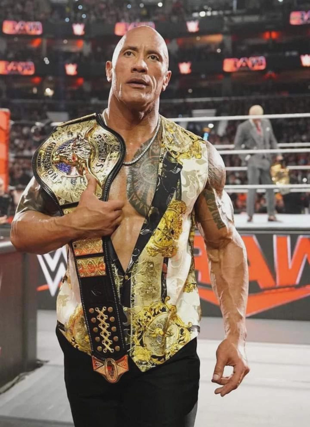 The Rock Brahma Bull World Heavyweight Wrestling Championship Stack ...