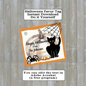 Black Cat Spider and Pumpkin Halloween Favor Tag, Trick or Treat 2.75H ...