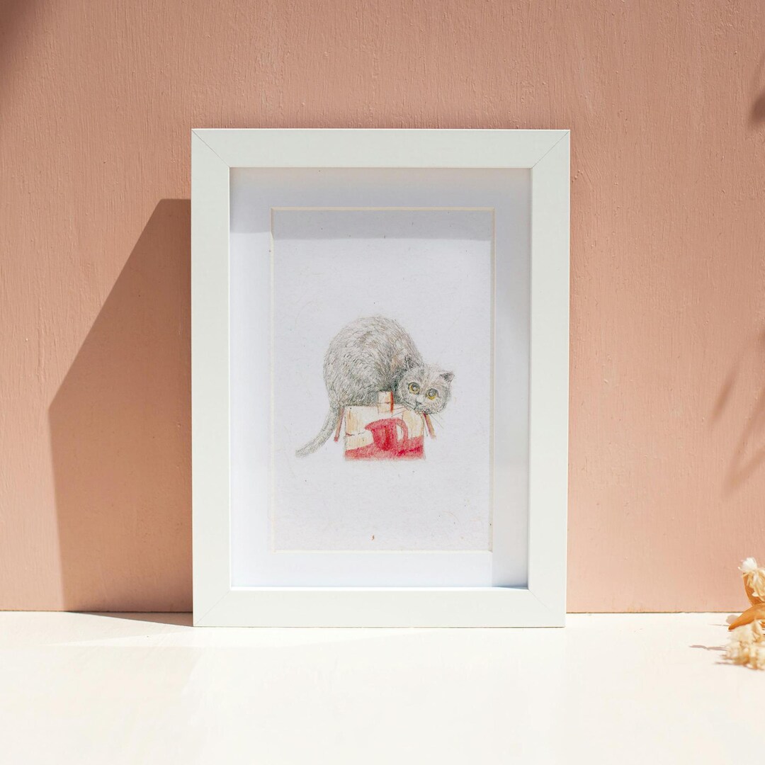 Funny Cat Stuck in Box - A5 Print, Hand Drawn Illustration, Digital ...