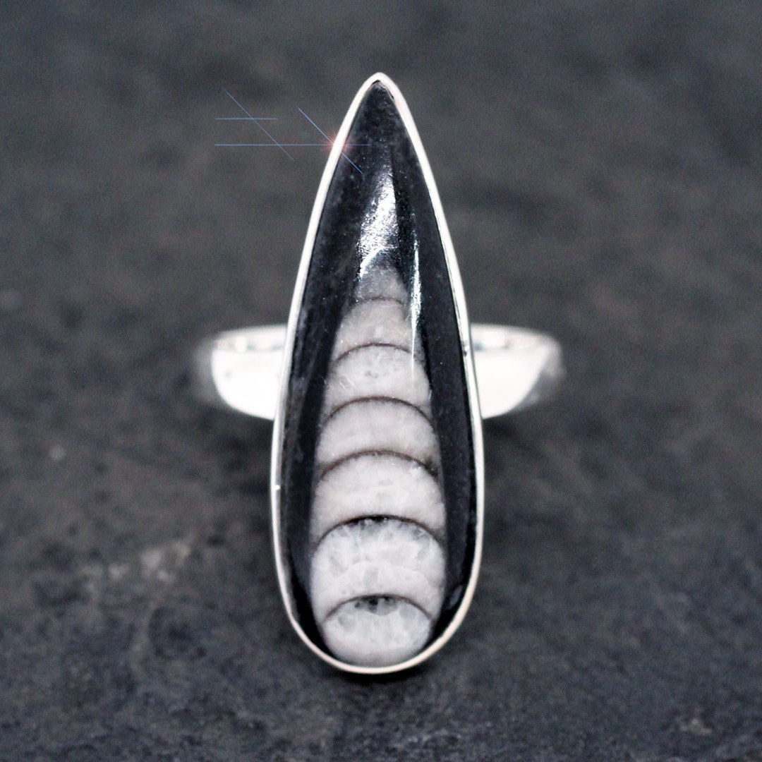 A Moment in Time - Orthoceras Fossil Sterling Silver Ring Size 8.5 - Etsy
