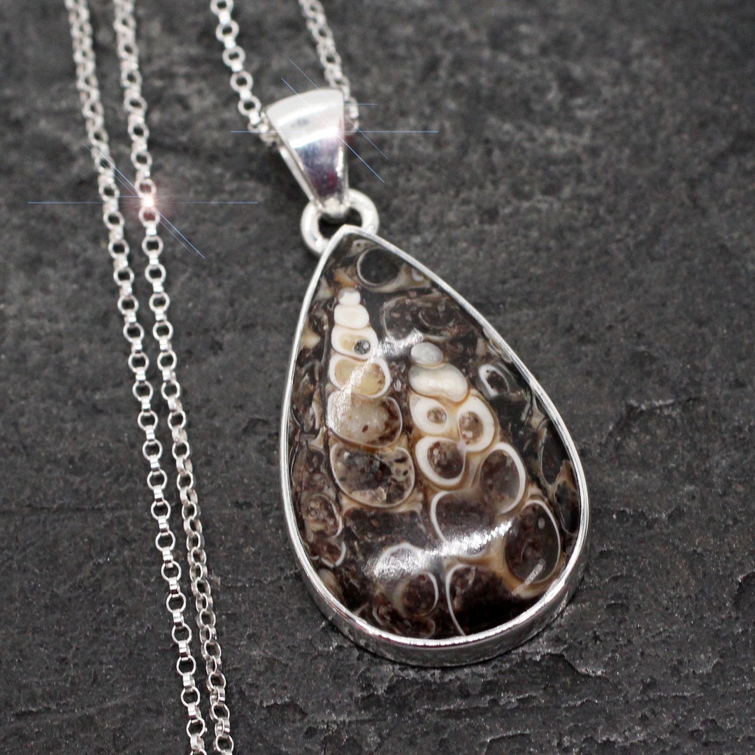 A Moment in Time - Beautiful Rough Turritella Agate Fossil Sterling ...