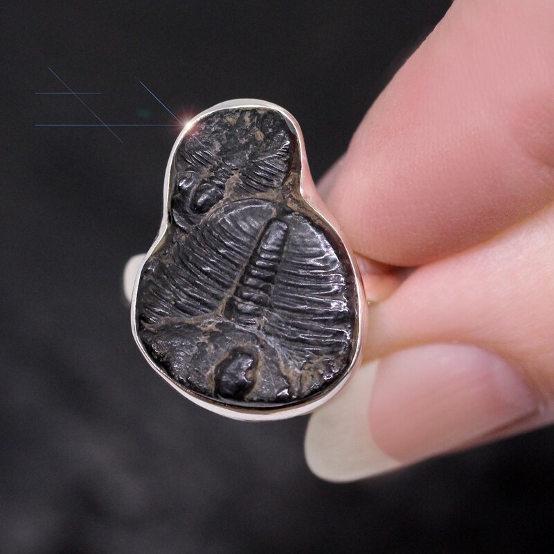 Trilobite Pendant - Etsy
