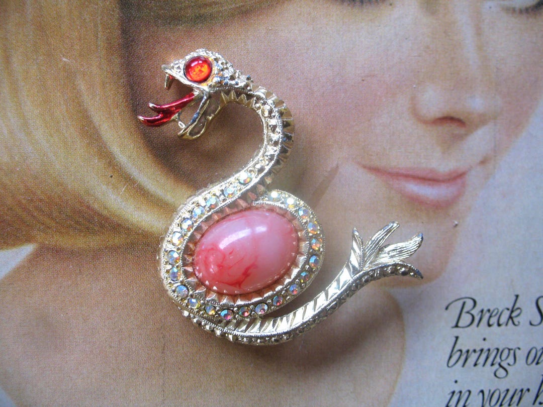 Vintage Lucite Jelly Belly Serpent Brooch Snake - Etsy