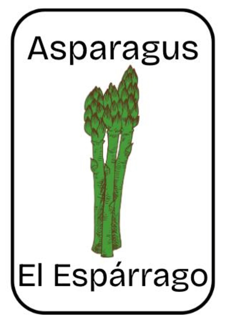 Bilingual Food Vocabulary Cards: English & Spanish Learning (printable ...
