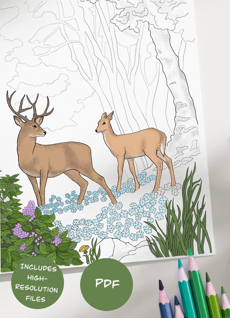 Natural Coloring Pages Printable, Adult Coloring Set With Flowers ...