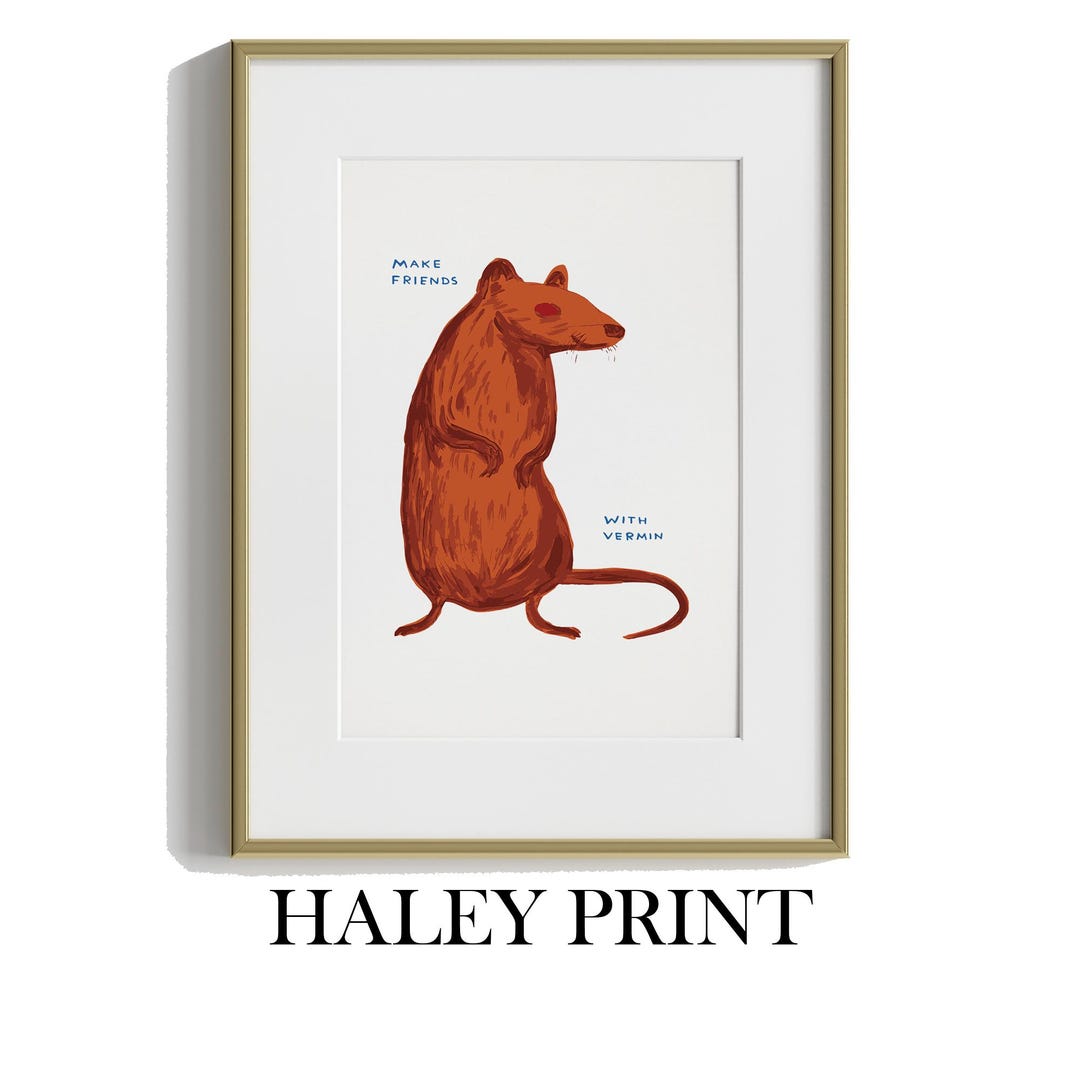 David Shrigley - Make Friends With Vermin, Quirky Wall Art, Pop Art ...