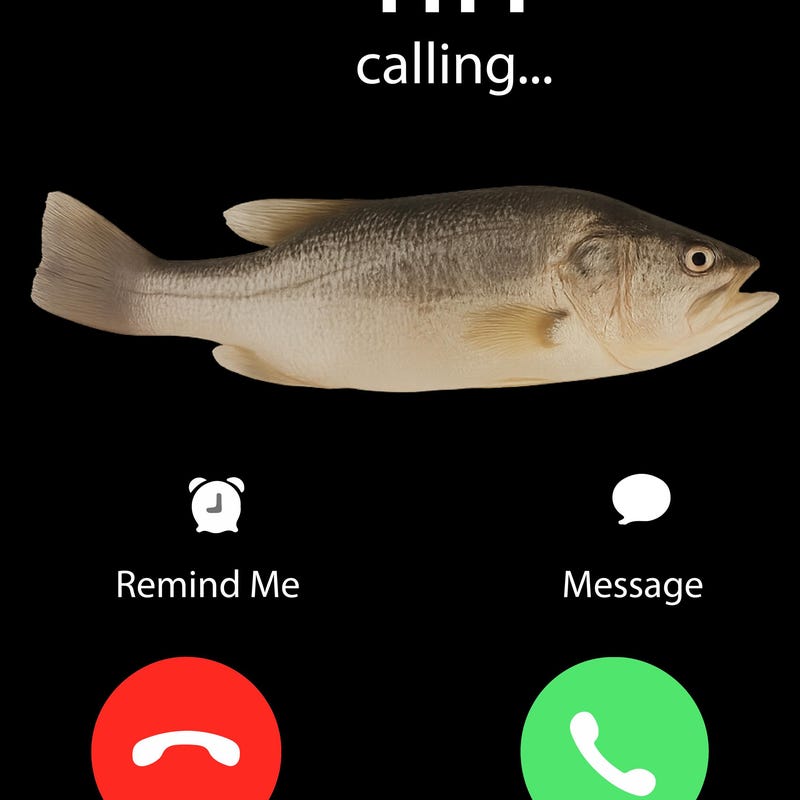 Fish Calling Shirt - Etsy