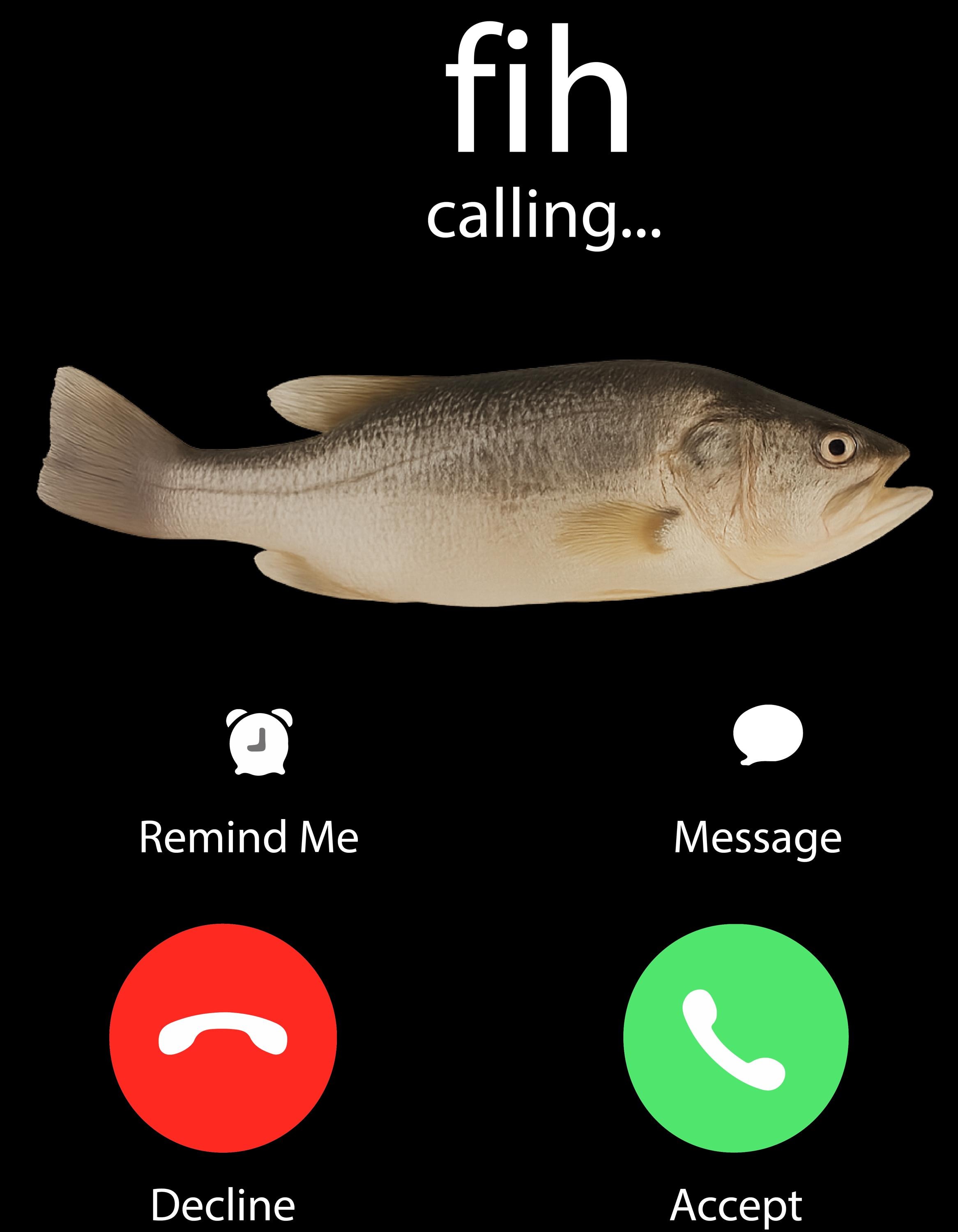 Fih Calling Remind Me Message Decline Accept Phone Call Fish Png, “fih” Funny Misspelled Fish ...
