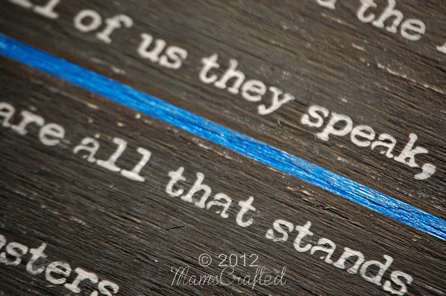 Thin Blue Line the Original all That Stands Between the - Etsy