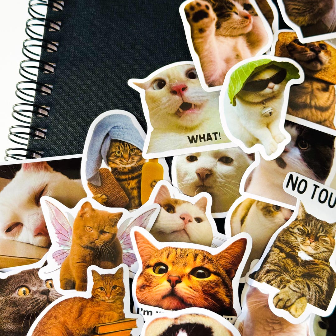 100 Pcs Cat Meme Stickers, Funny Cat Sticker, Funny Waterproof Stickers ...