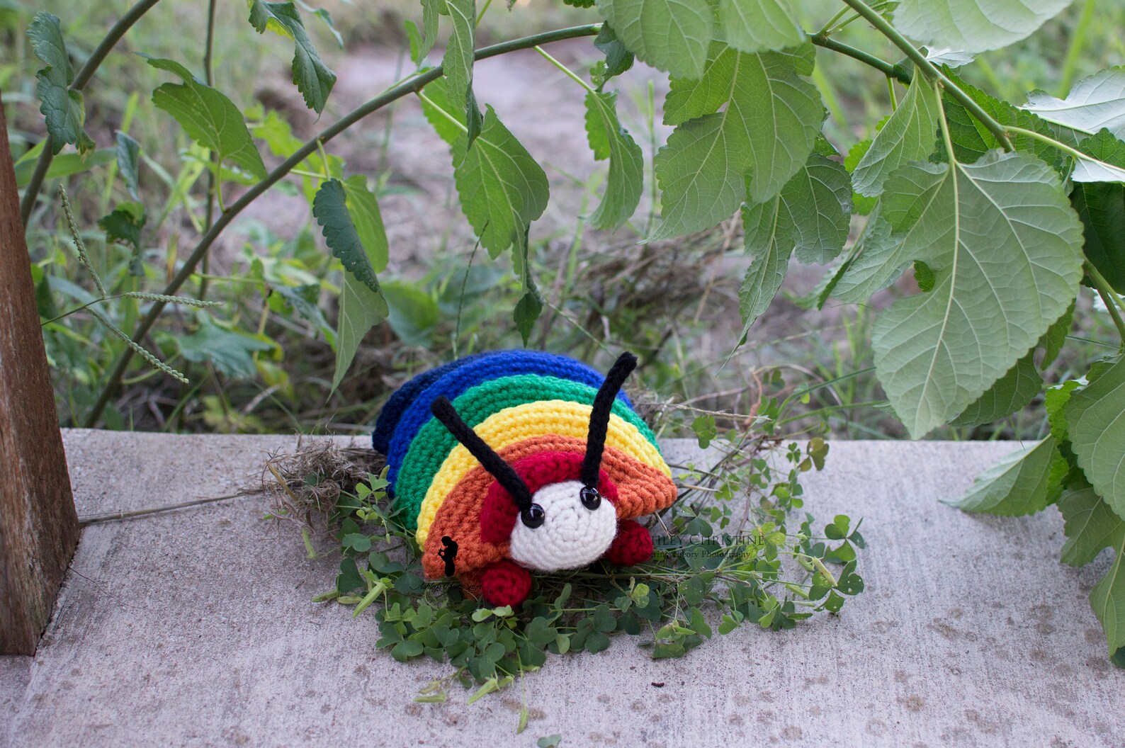 Rainbow Pill Bug Plush - Roly Poly - Stuffed Crochet Animal - Rainbow ...