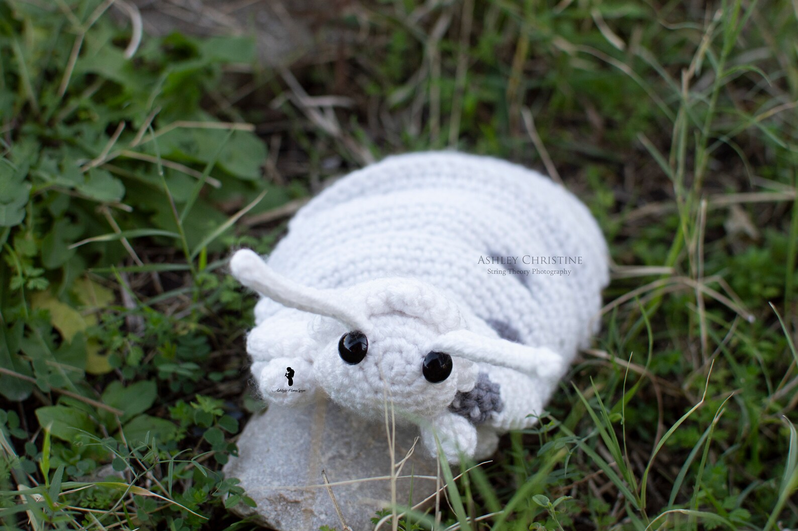 Dairy Cow Pill Bug Plush Roly Poly Doodle Bug Isopod - Etsy