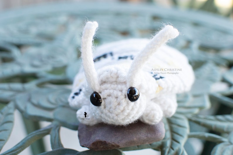 Magic Potion Pill Bug Plush - Roly Poly - Doodle Bug - Isopod - Stuffed ...