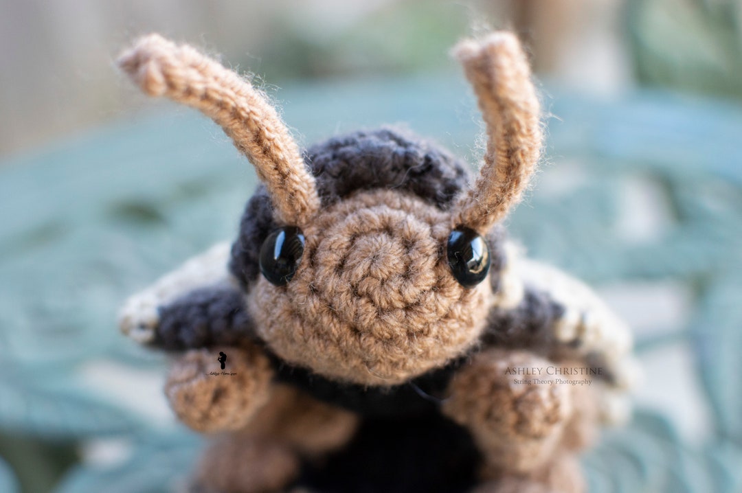 Tan Zebra Isopod - Pill Bug Plush Big Eyes Version - Zebra Pill Bug ...