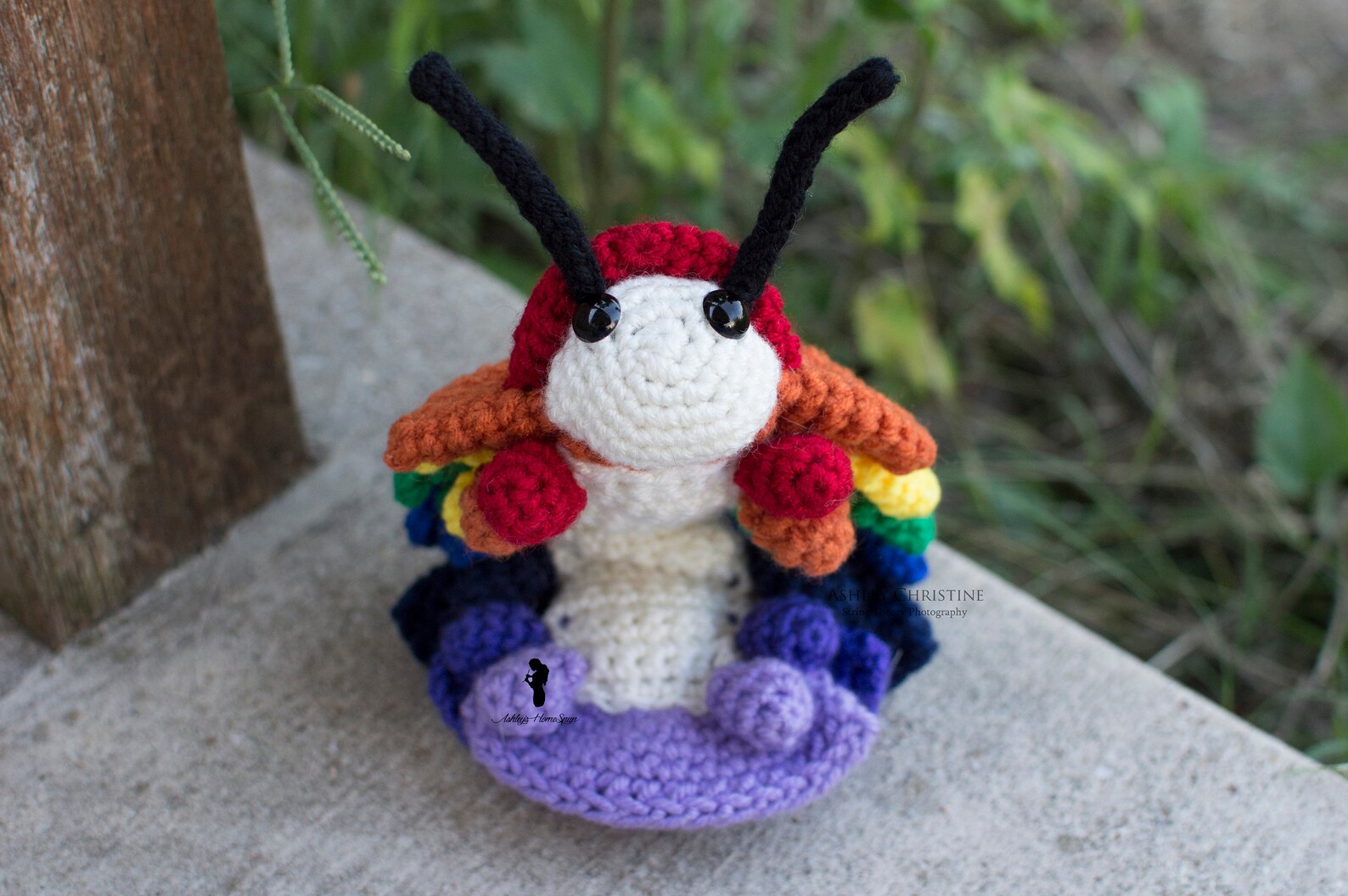 Rainbow Pill Bug Plush - Roly Poly - Stuffed Crochet Animal - Rainbow ...