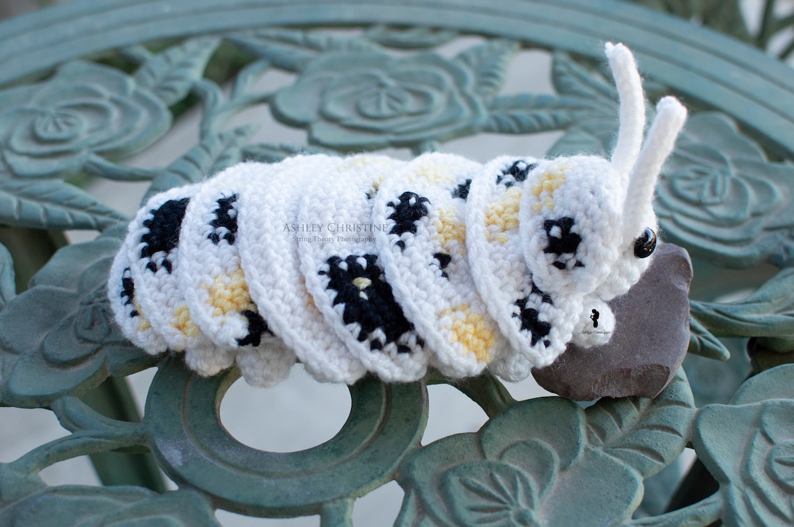 Magic Potion Pill Bug Plush Roly Poly Doodle Bug Isopod | Etsy