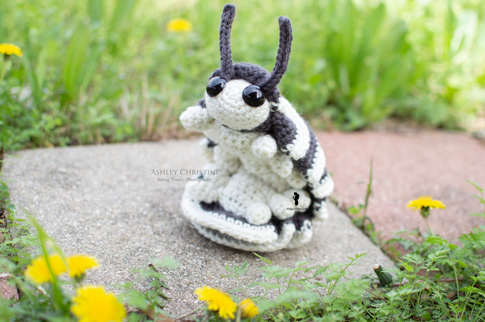 Zebra Isopod - Pill Bug Plush Big Eyes Version - Zebra Pill Bug - Roly ...