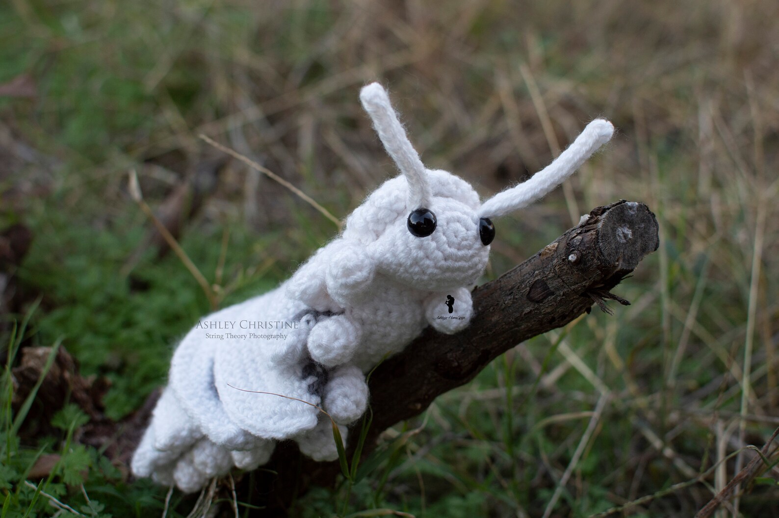 Dairy Cow Pill Bug Plush Roly Poly Doodle Bug Isopod - Etsy