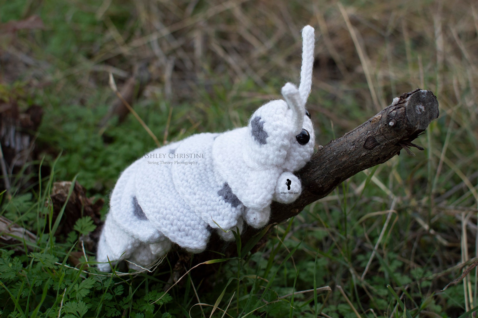 Dairy Cow Pill Bug Plush - Roly Poly - Doodle Bug - Isopod - Stuffed ...