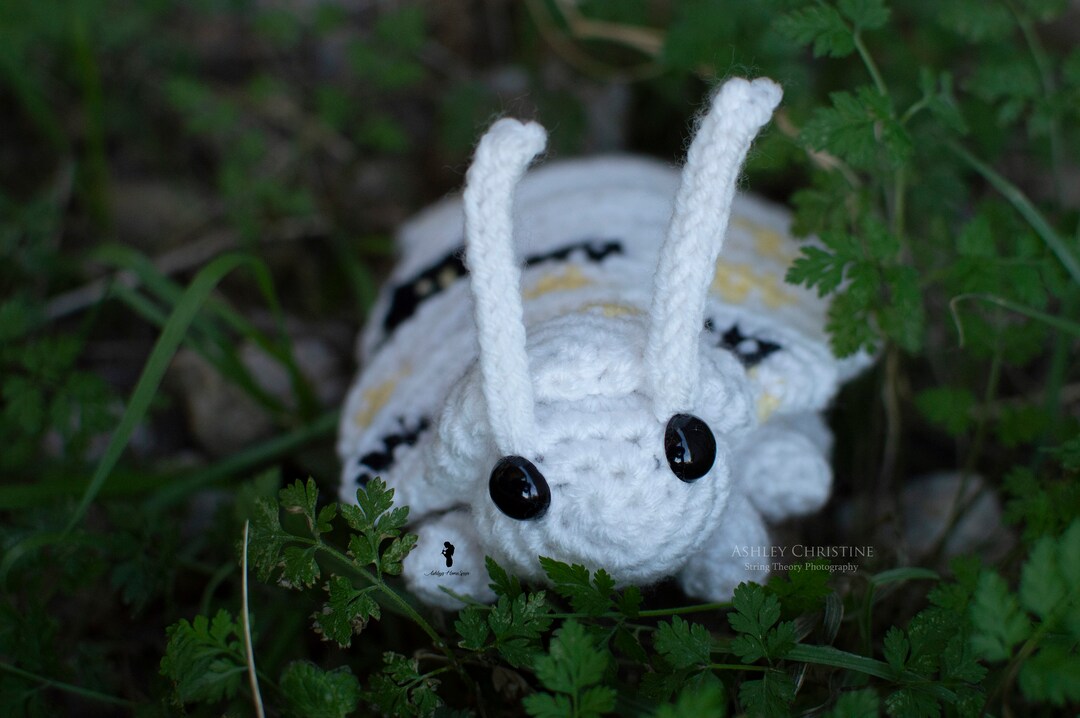 Magic Potion Pill Bug Plush - Roly Poly - Doodle Bug - Isopod - Stuffed ...