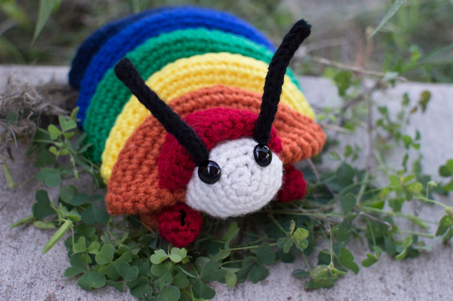 Rainbow Pill Bug Plush - Roly Poly - Stuffed Crochet Animal - Rainbow ...