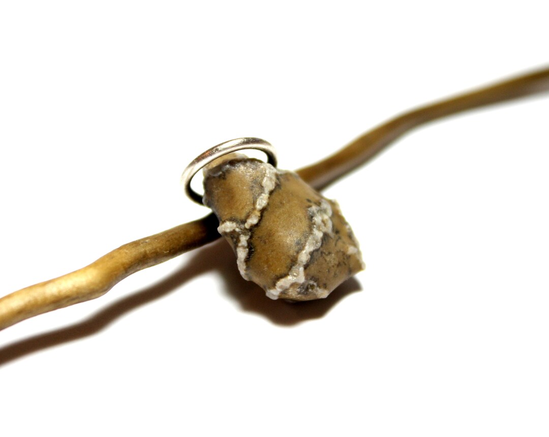 Genuine Lake Michigan Chain Coral Fossil for Jewelry Making, Surf ...