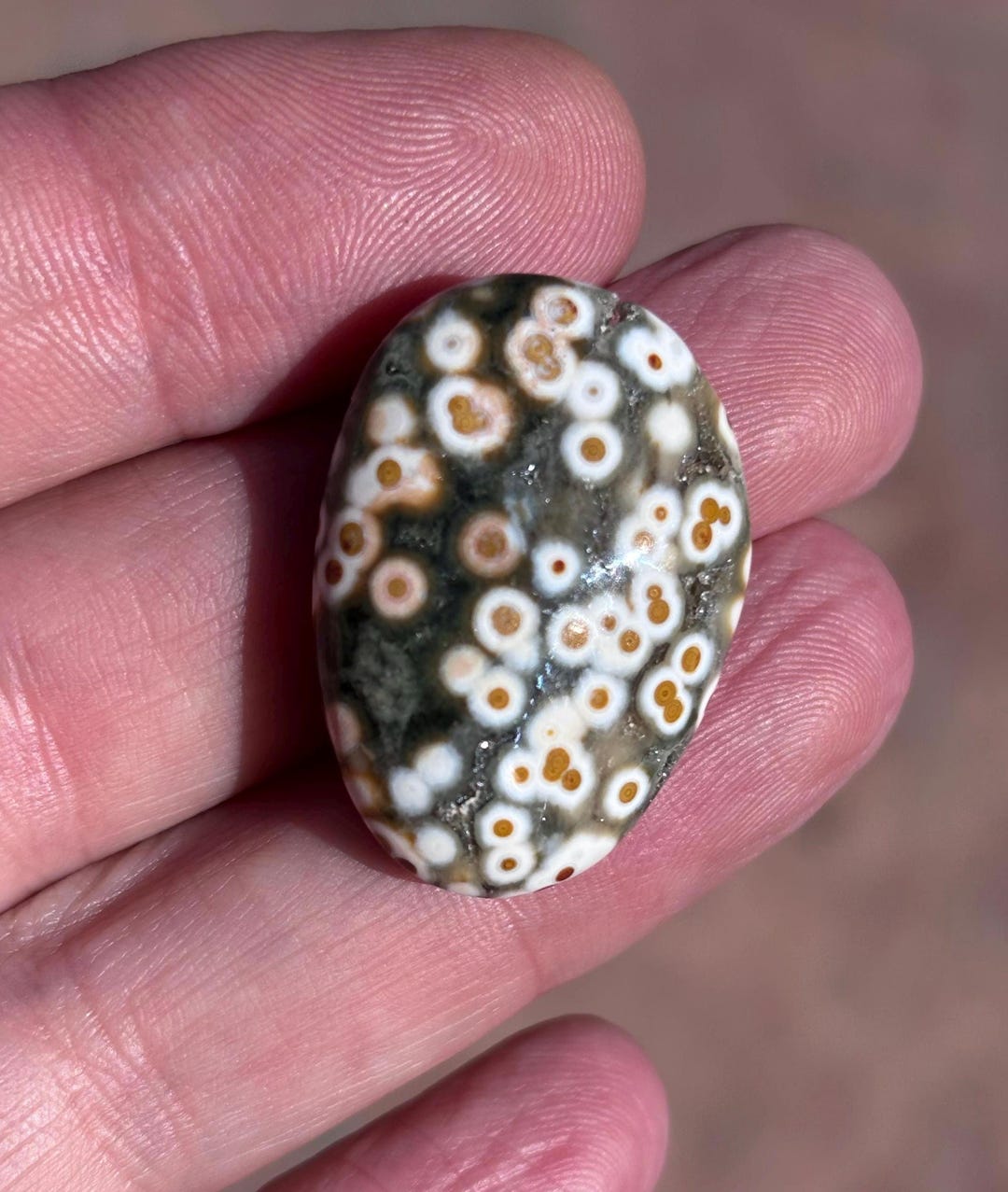 Piedra de palma de jaspe oceánico de 9,3 gramos - Etsy España
