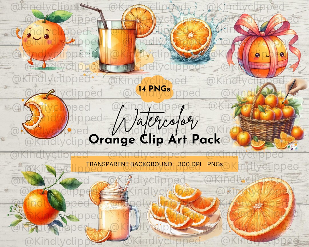 Watercolor Orange Clipart: Citrus Fruit PNG Graphics (digital Download ...