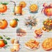 Watercolor Orange Clipart: Citrus Fruit PNG Graphics (digital Download ...