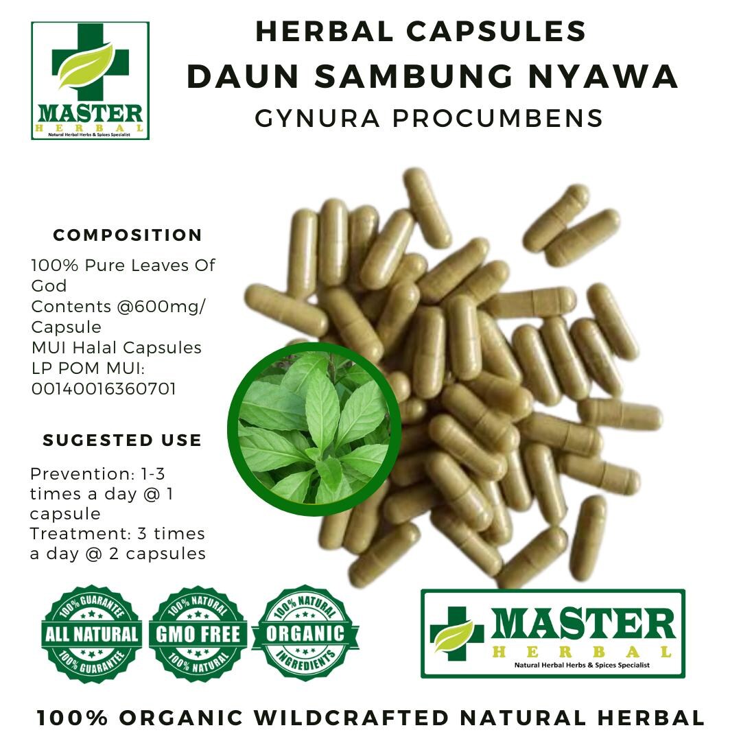 Gynura Procumbens Capsules: Organic Longevity Spinach Herbal ...