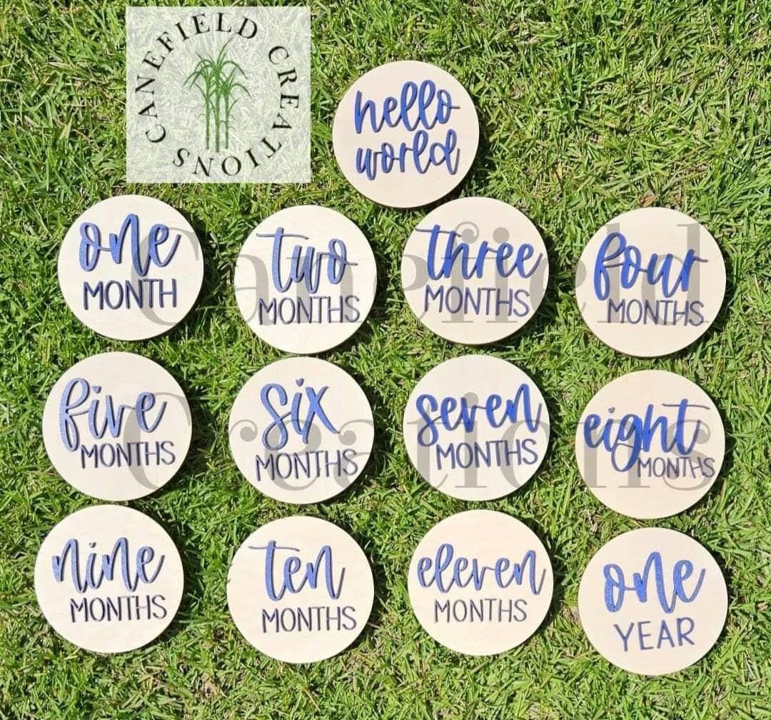 Baby Monthly Milestone Disc Set - Etsy